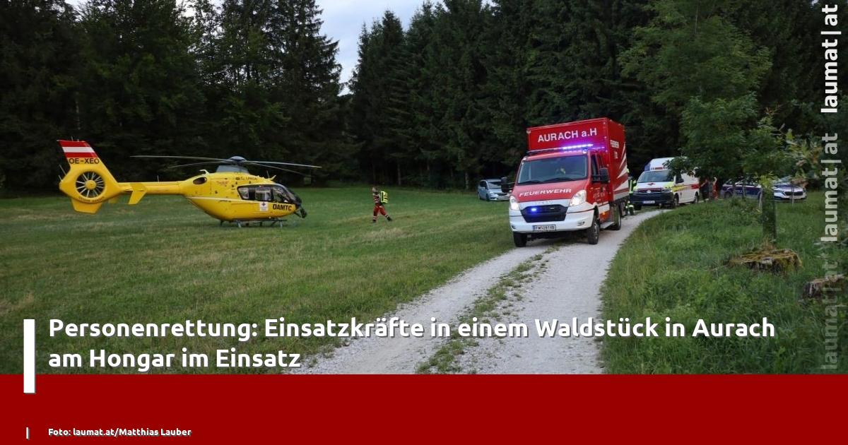 Personenrettung: Einsatzkräfte in einem Waldstück in Aurach am Hongar ...