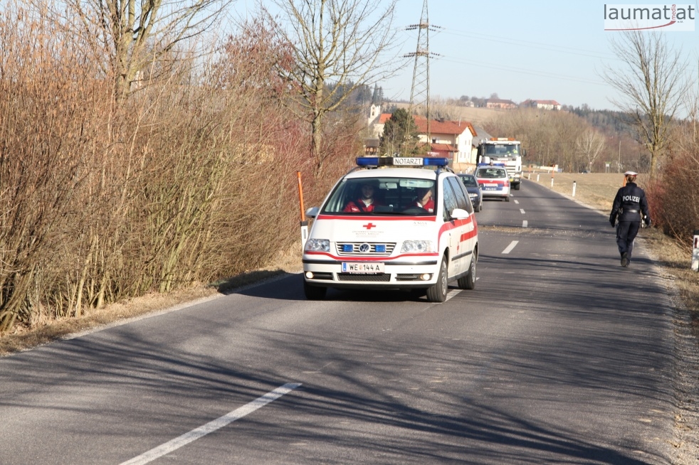 PKW kracht gegen Baum | laumat|at